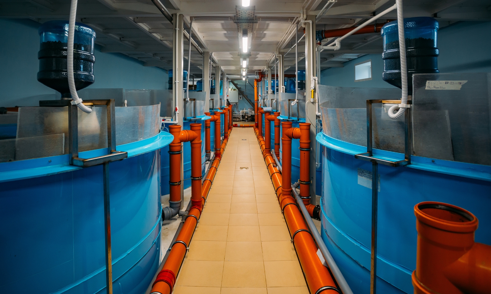 Aquaculture Systems: Types & Sustainable Solutions | SIAA